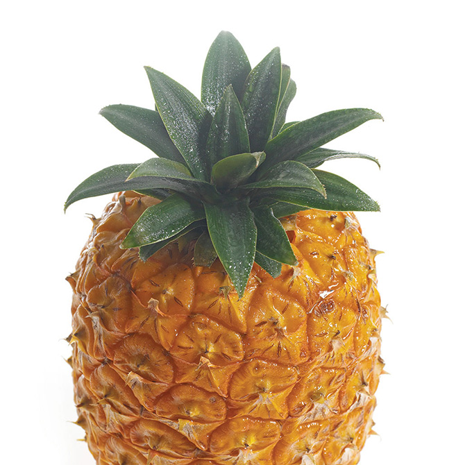 António Chaves - Fotografia de Produto | Product Photography | Frulact 2005